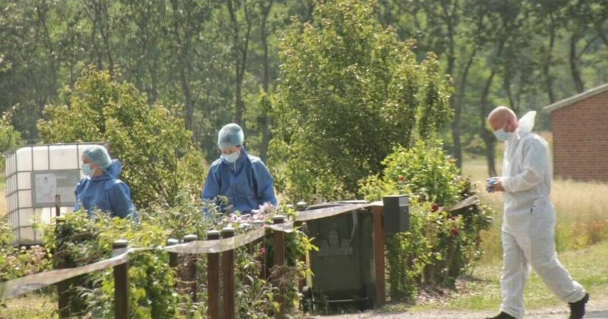 En aften i juli 2022 forsvandt Frank: Ny HBO Max-serie afslører ...