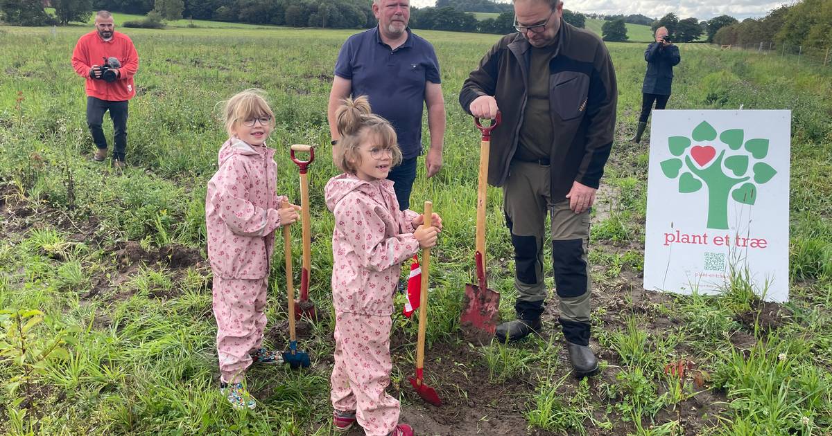 Borger tog initiativ til bynær skov: Nu er der plantet 5.000 træer og buske - Din Avis