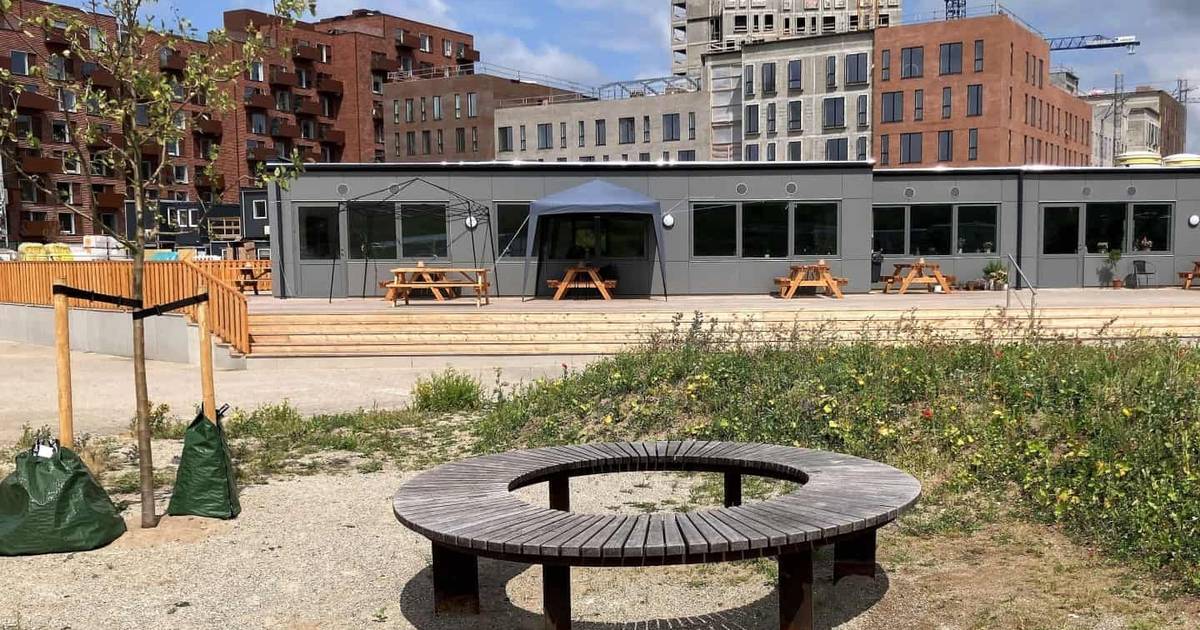 Rådmand trækker i land endnu en gang – nu er der godt nyt til hjemløse ...
