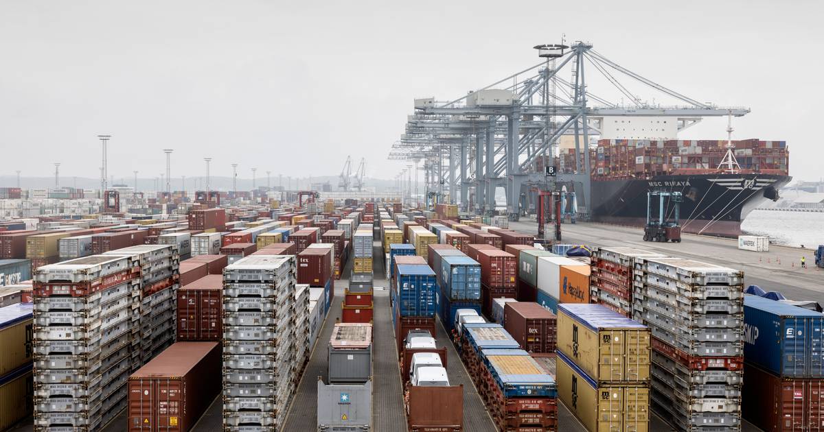 Er i åben krig med Aarhus Havn: Nu går APM Terminals ind i Fredericia ...