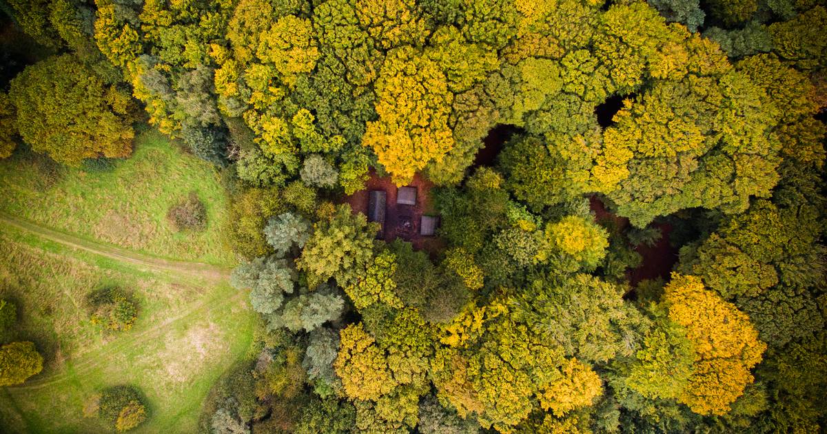 Kære Anders, Nicolaj, Christian og alle I andre kandidater – har I et ...