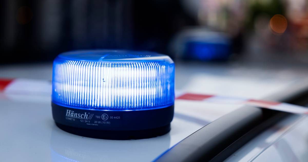 Politi snuppede mand på søndagstur – i bagagerummet havde han ni store ...