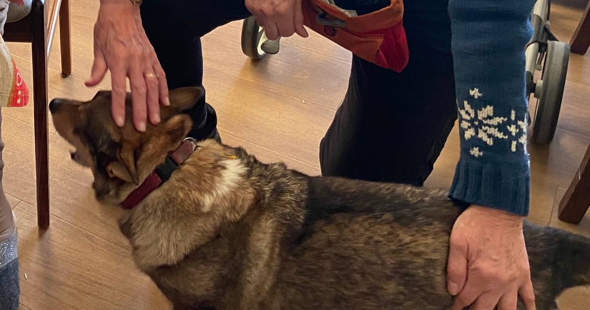 Logrende lykke og kærlige klap: Soffi og Elsa på besøg hos Thea og ...