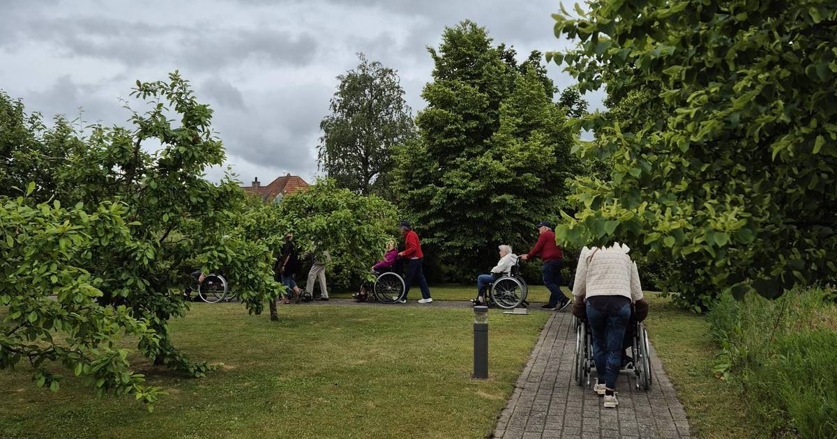 Både led og hjul var smurt, inden startskuddet lød til Old Run - Din Avis