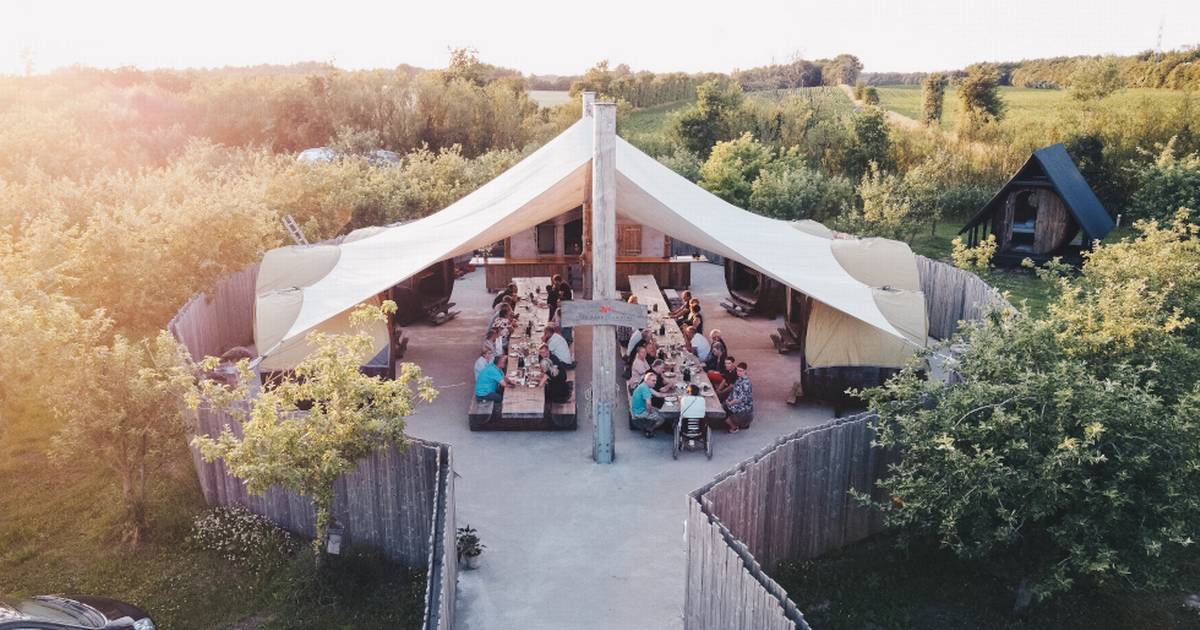 Nu åbner Cold Hand Winerys sommerrestaurant - med et strejf af Michelin ...