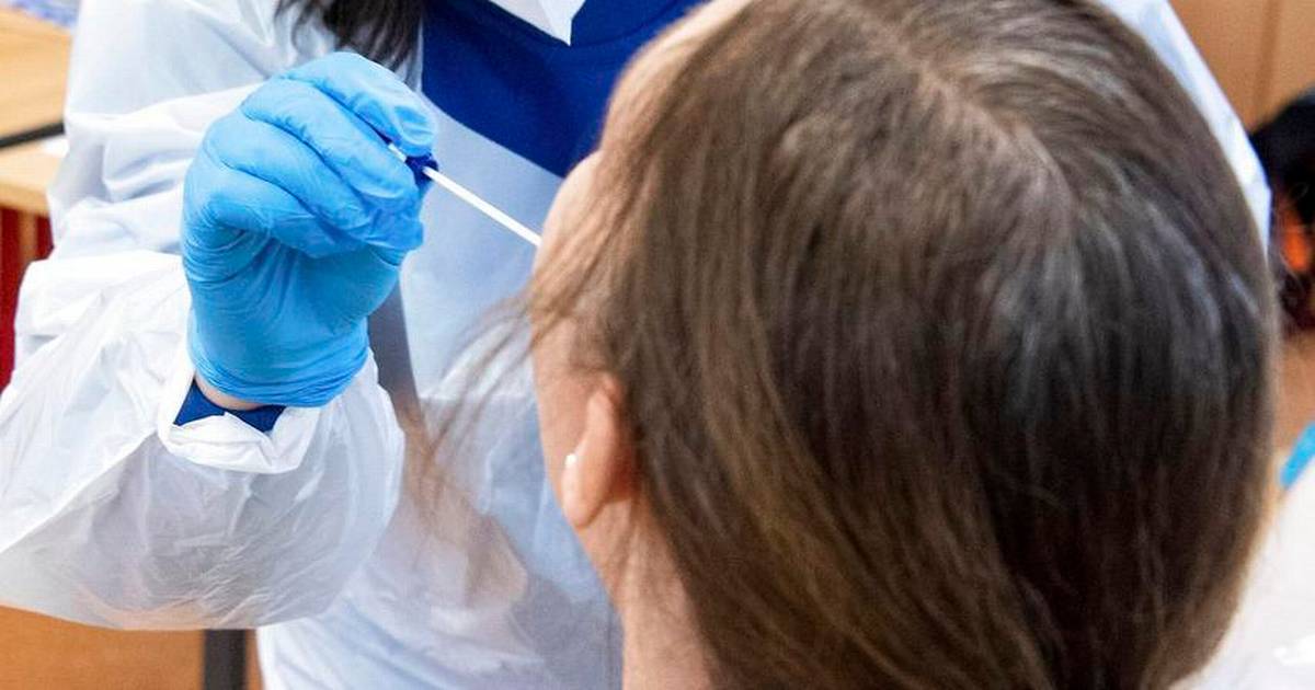 Nye coronatal: Alle tal går den helt rigtige vej - Din Avis