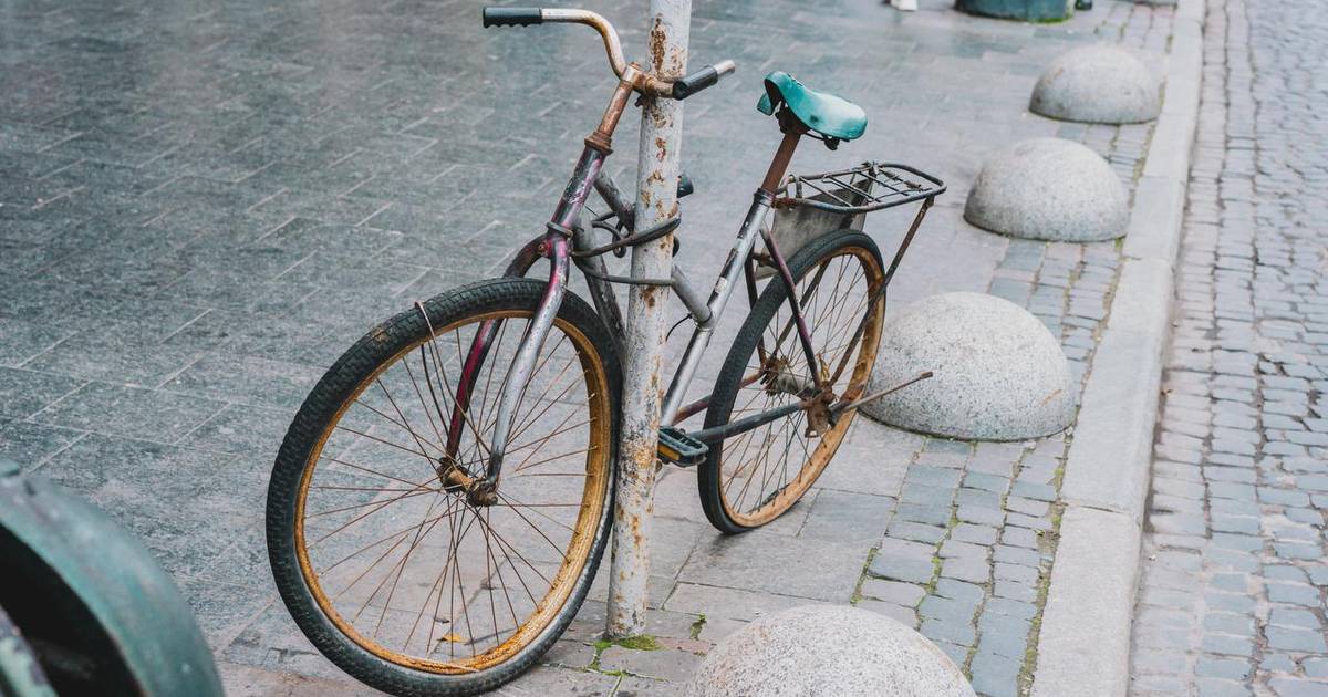 Cykeloprydning i Hammel, Hadsten og Hinnerup - Din Avis