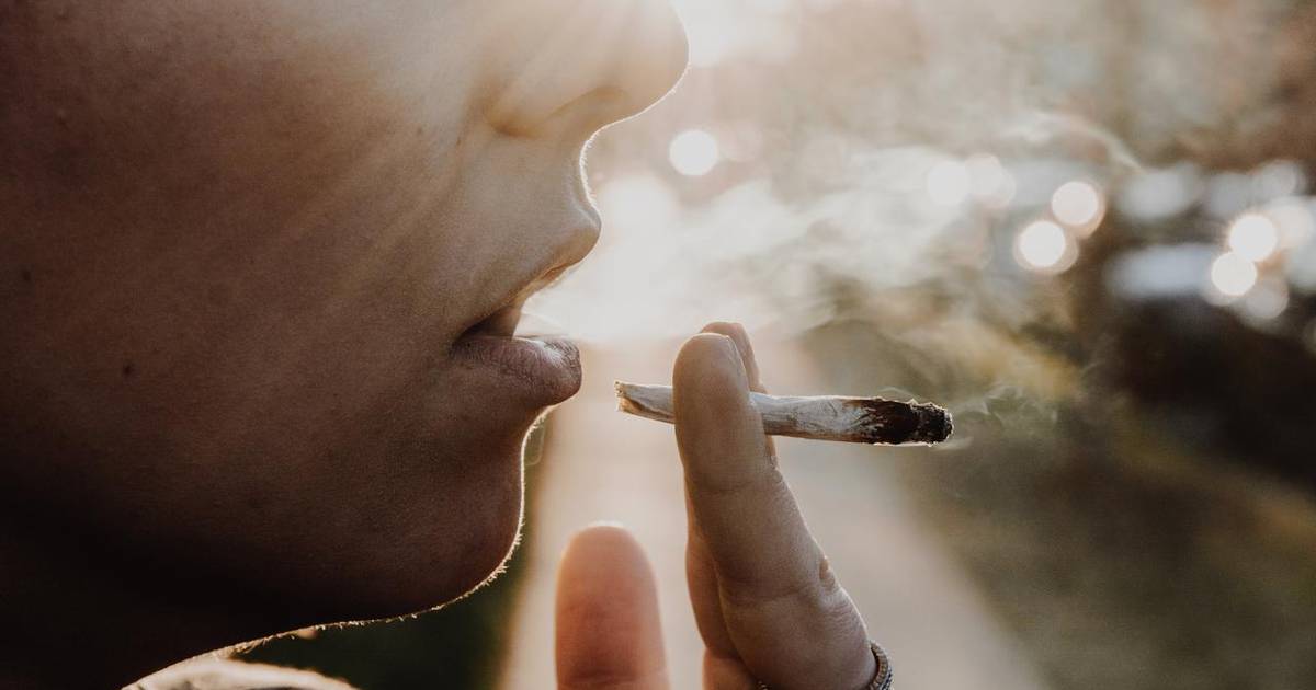 23-årig bilist snuppet med skunk og hash - Din Avis