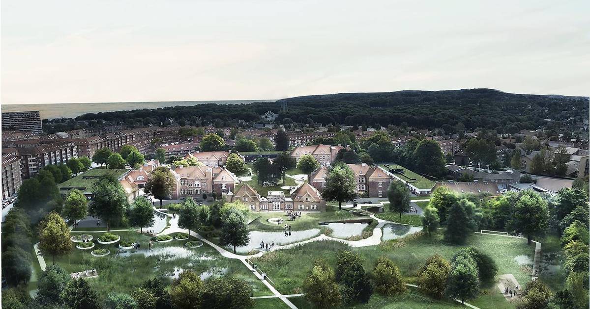 Verdensnyhed i Aarhus: Park kombinerer genoptræning og klimatilpasning ...