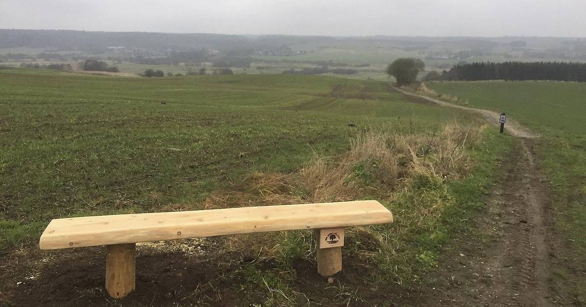 Gammel engvej i nye klæder - Din Avis