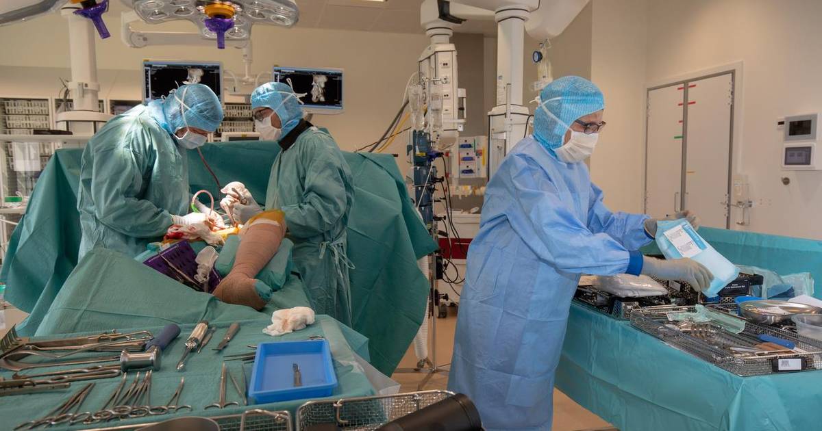 Planlagte operationer udskydes – personalet skal lære at håndtere ...