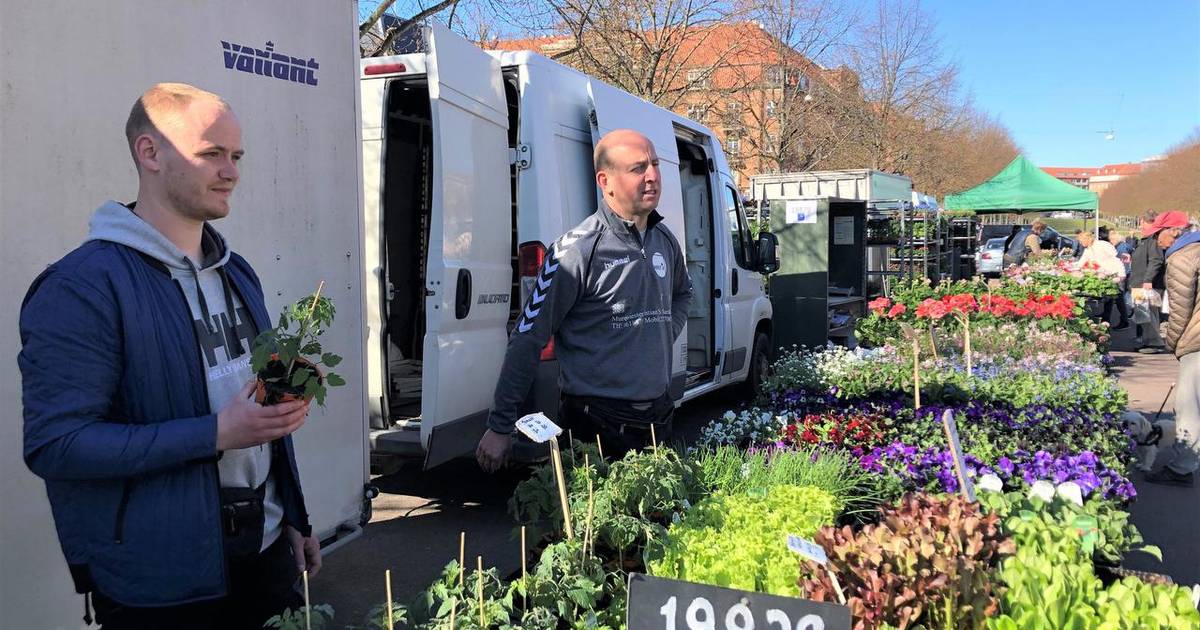 Første torvedag på Ingerslev efter corona: Det er som juleaften - Din Avis
