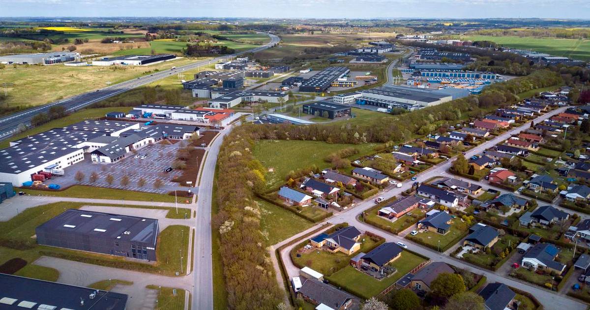 Beboere generet af mågekanonerne i Stilling - Din Avis