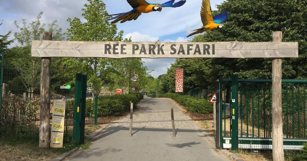 Ree park er åbnet: Har krævet stort forarbejde