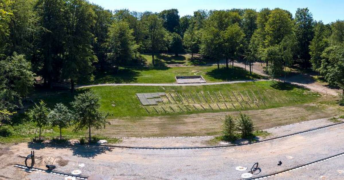 Bøgescenen er færdig og grønnere end nogensinde - Din Avis