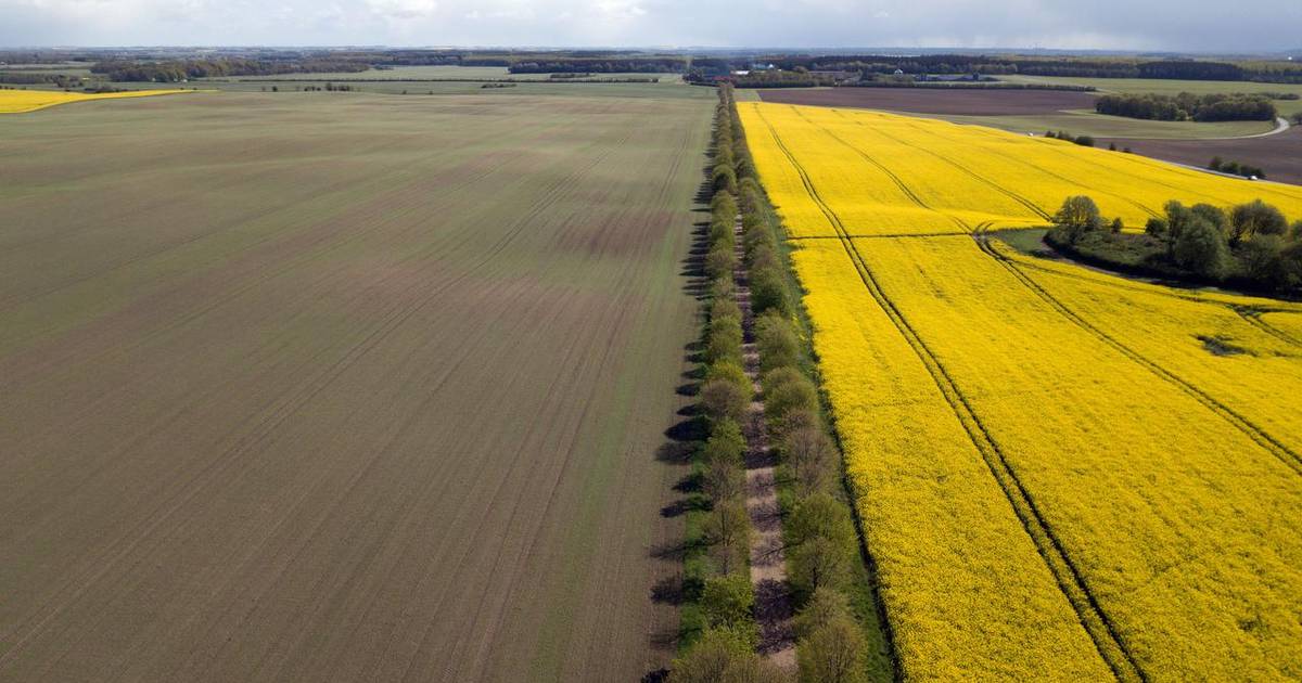 Linen og kilden forener historien og naturen - Din Avis
