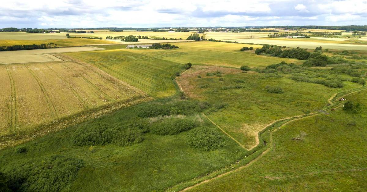 Spor efter isen i Søften