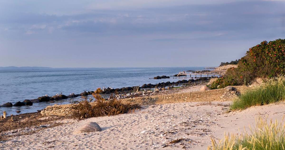 Må du tage sand med hjem fra stranden? Må du tage sand med hjem fra stranden?