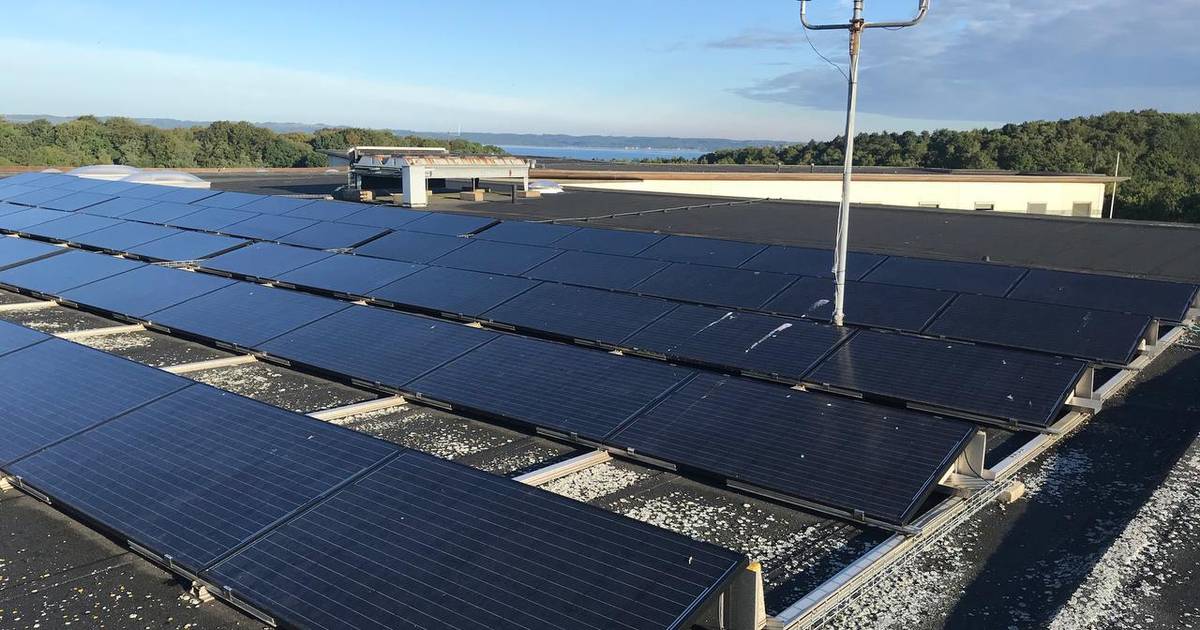 Sund fornuft giver mindre CO2 udledning - Din Avis