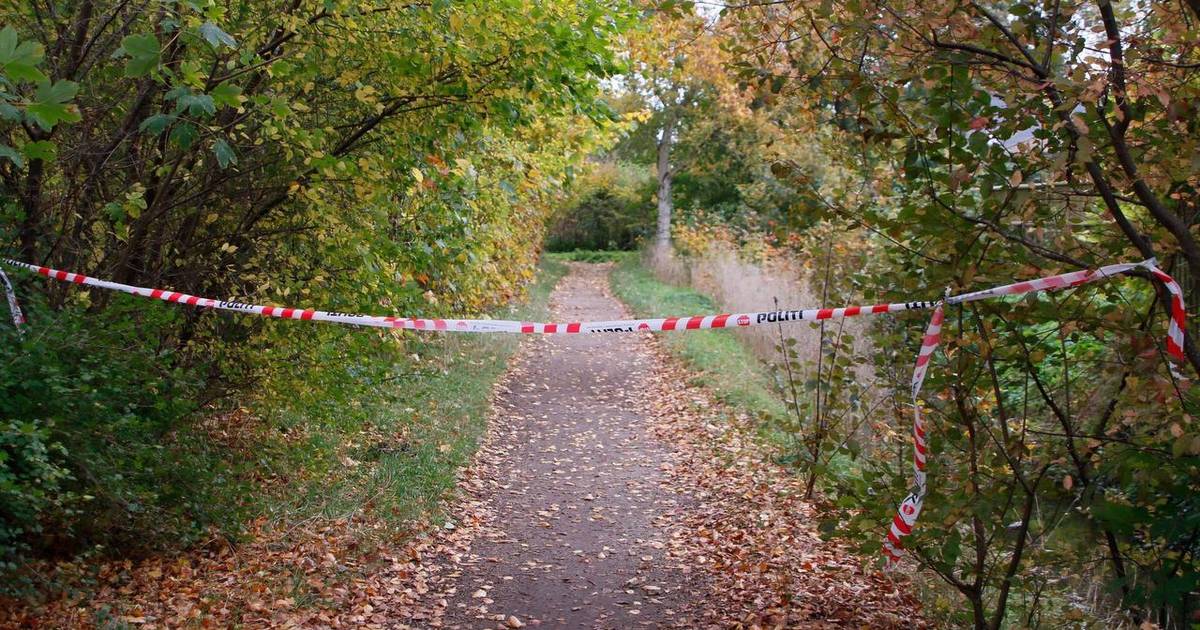 Ung mand fundet død: - En ulykkelig hændelse - Din Avis