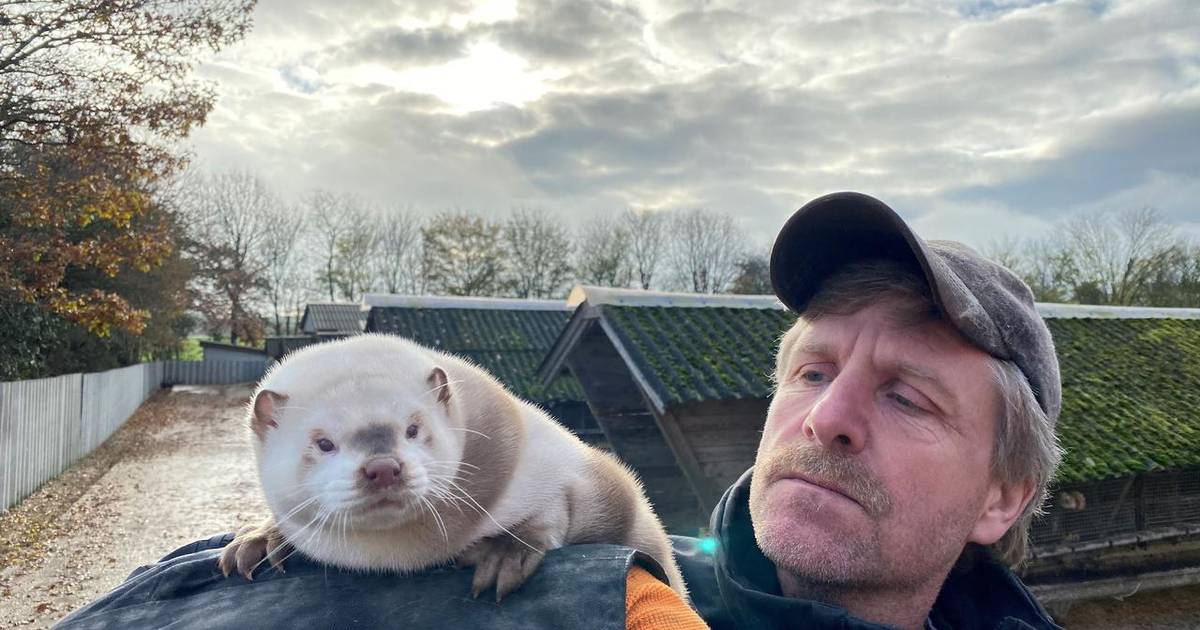 "Nu er det jo slut. Det siger vores statsminister" - Din Avis