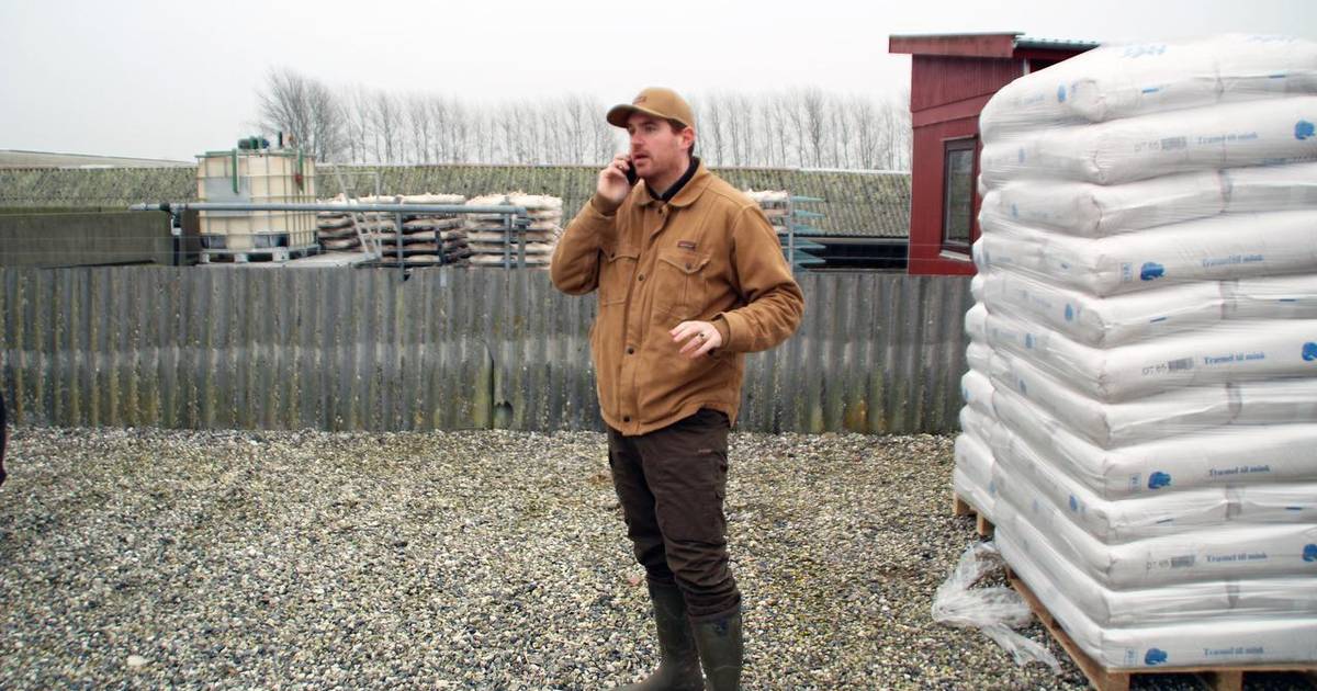 "Vi må nedlægge 18 arbejdspladser" - Din Avis