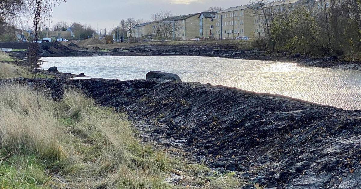 Risskov har fået en ny sø, der skal rense vandet og forhindre ...