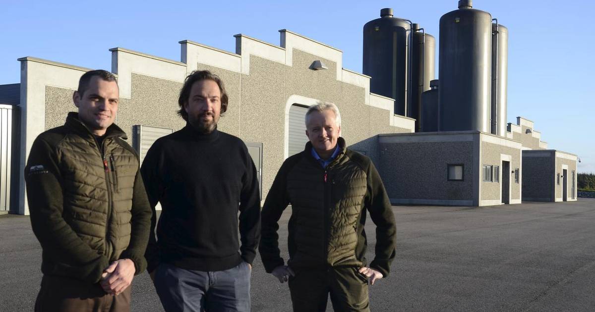 Wedell: "Alle lovkrav bliver overholdt" - Din Avis