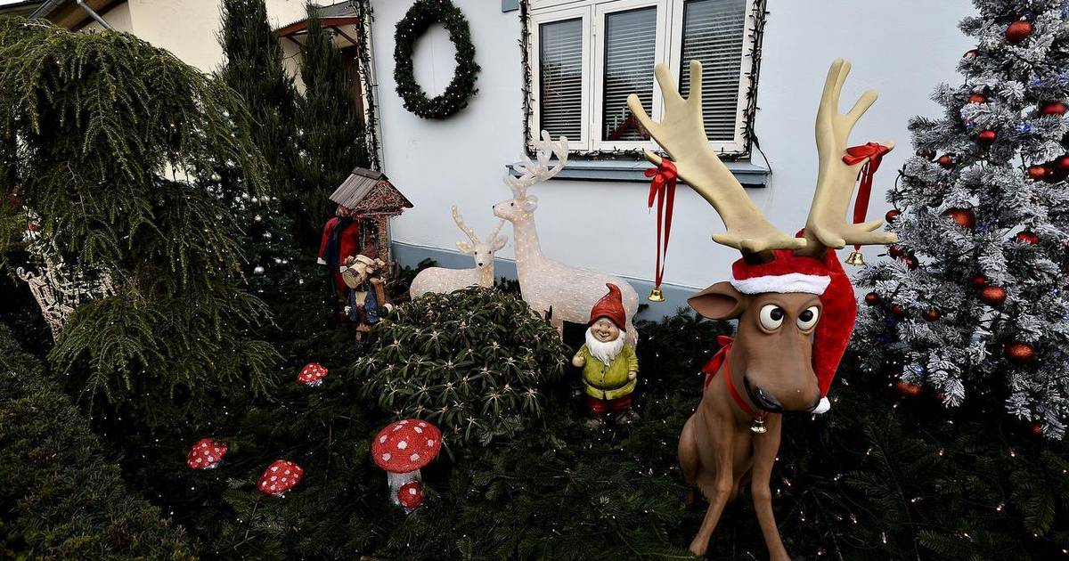 Rensdyr er dukket op, men er det mon Rudolf? - Din Avis