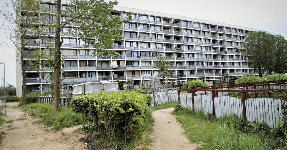 Boligforening stemte ja til nedrivning i Gellerup og Toveshøj - Din Avis