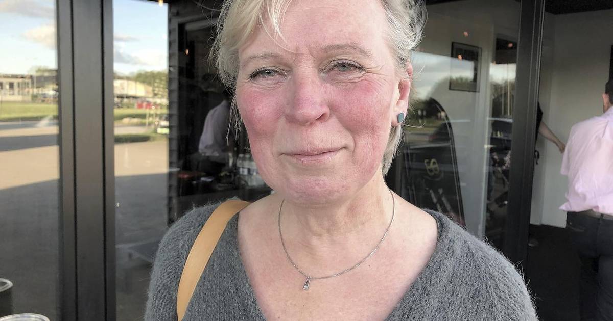 'Jeg fik et godt indblik i, hvad partierne egentlig vil' - Din Avis