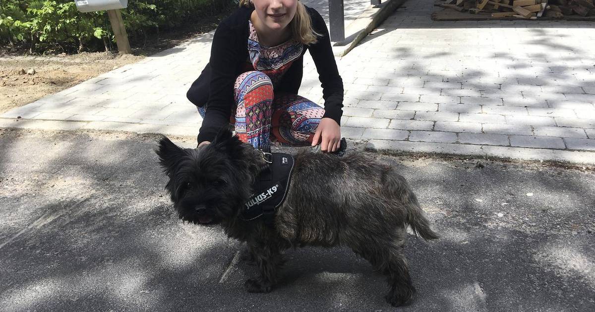 12-årige Eva har startet sin egen virksomhed - Din Avis