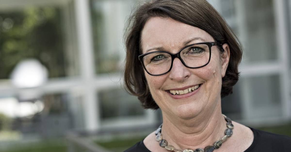 Skanderborg Kommune skal have ny kommunaldirektør - Din Avis