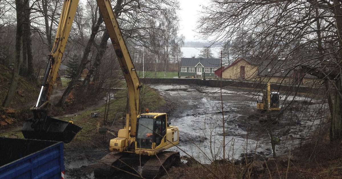 Møllendammen blev tømt for metertykt dynd - Din Avis