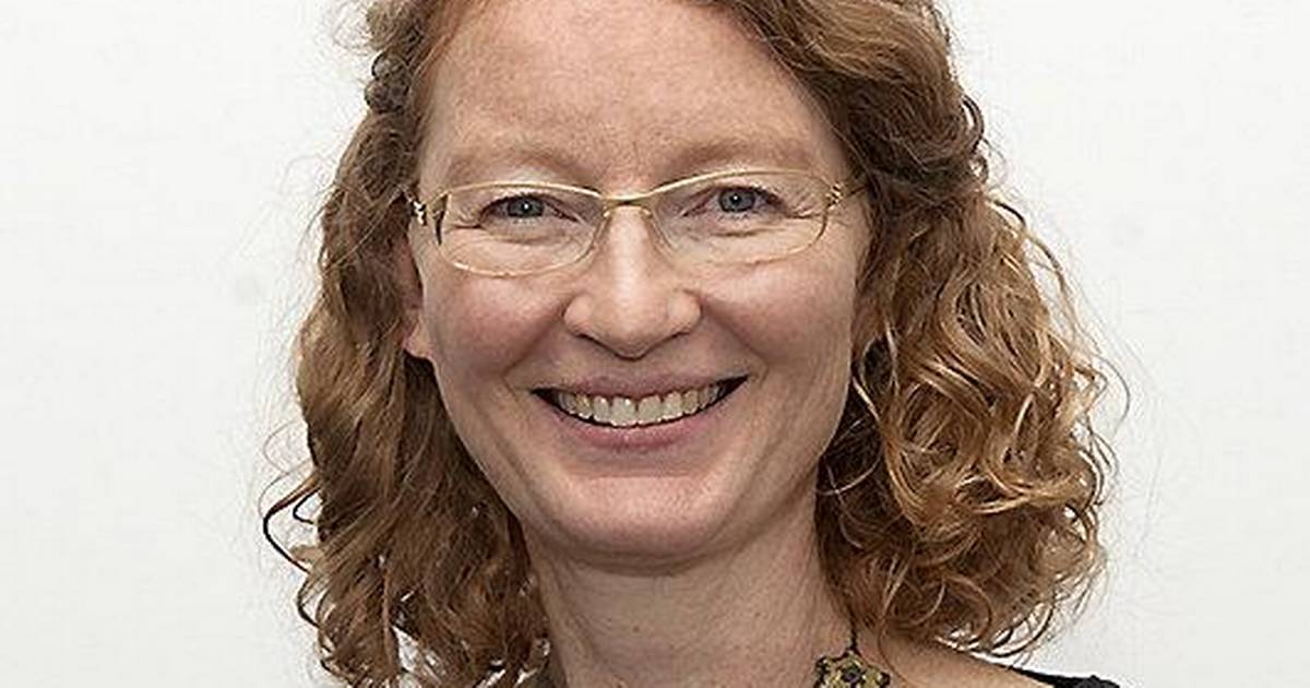 Europa-Parlamentet på stemmejagt i Syddjurs - Din Avis