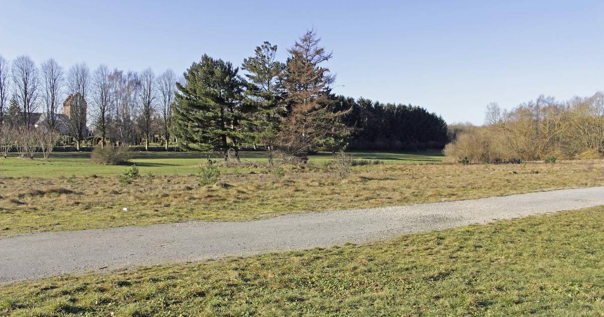 Nyt boligområde i Auning er klar til udvikling - Din Avis