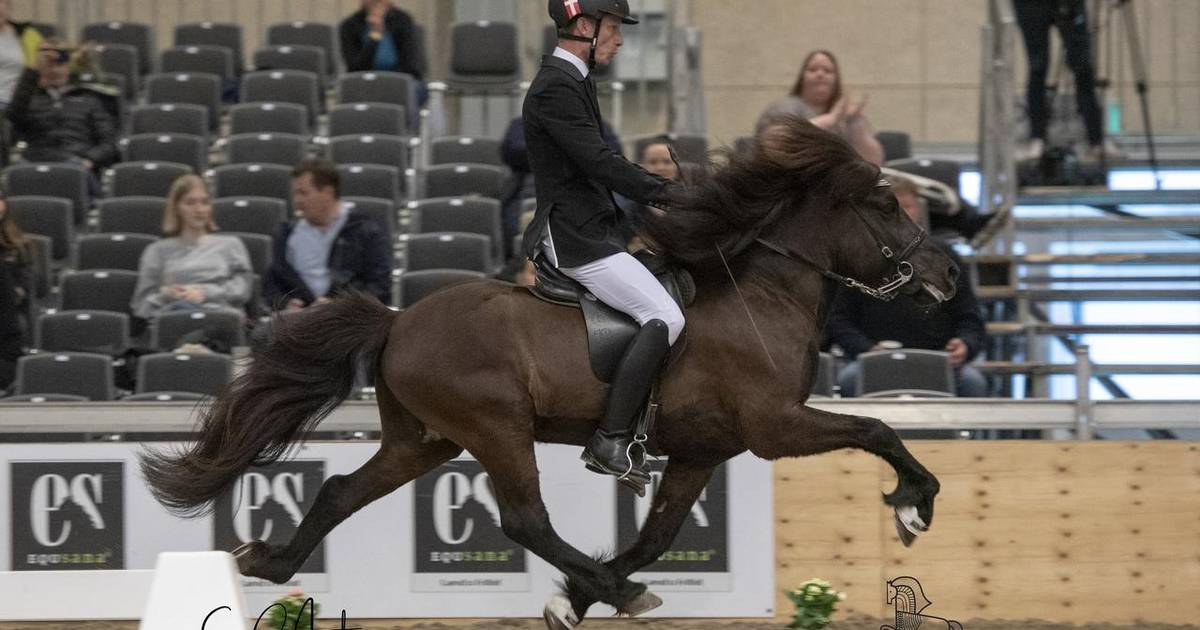Dansk sølv og bronze i femgang for islandske heste - Din Avis