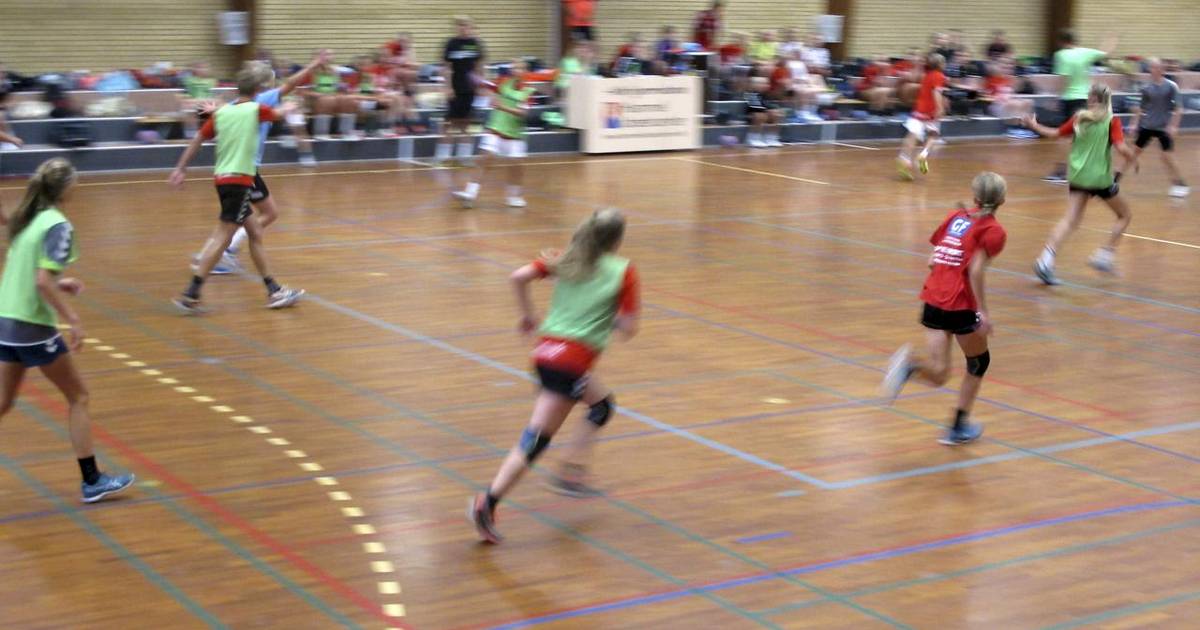 Hammel Håndbold er med til Håndboldens Dag - Din Avis