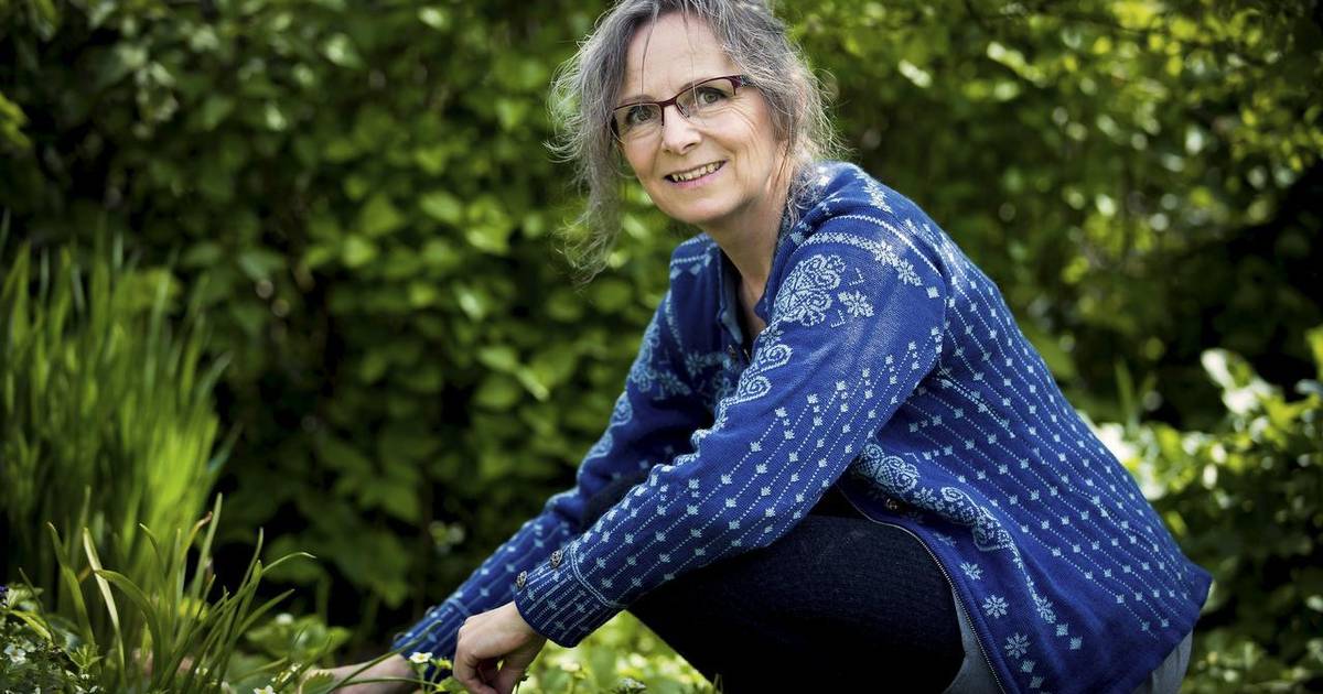 Har du mistet kontakten til en, du savner? - Din Avis