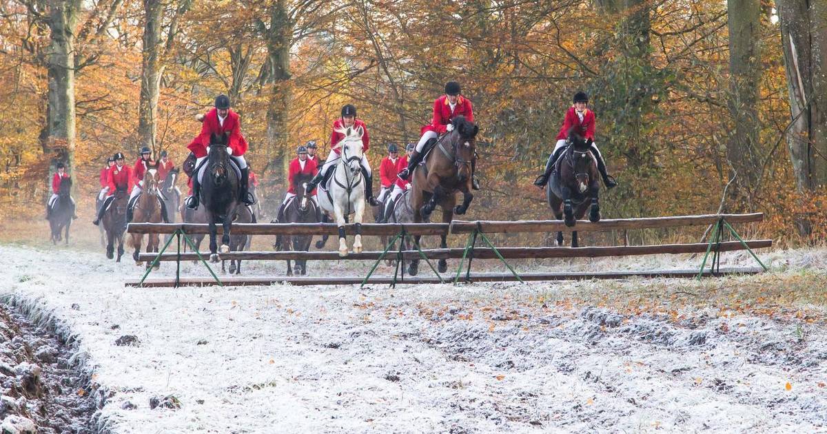 Hubertusjagten går ind ved Bidstrup Gods - Din Avis