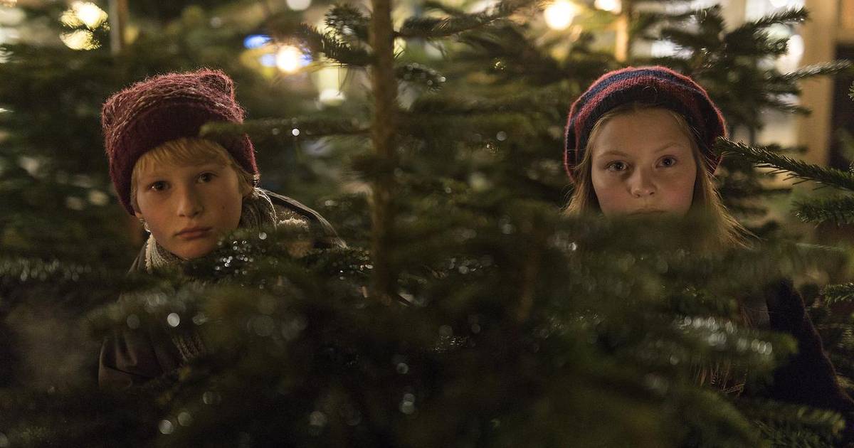 Peter fra Ry er Albert i Julemandens Datter - mød ham i morgen - Din Avis