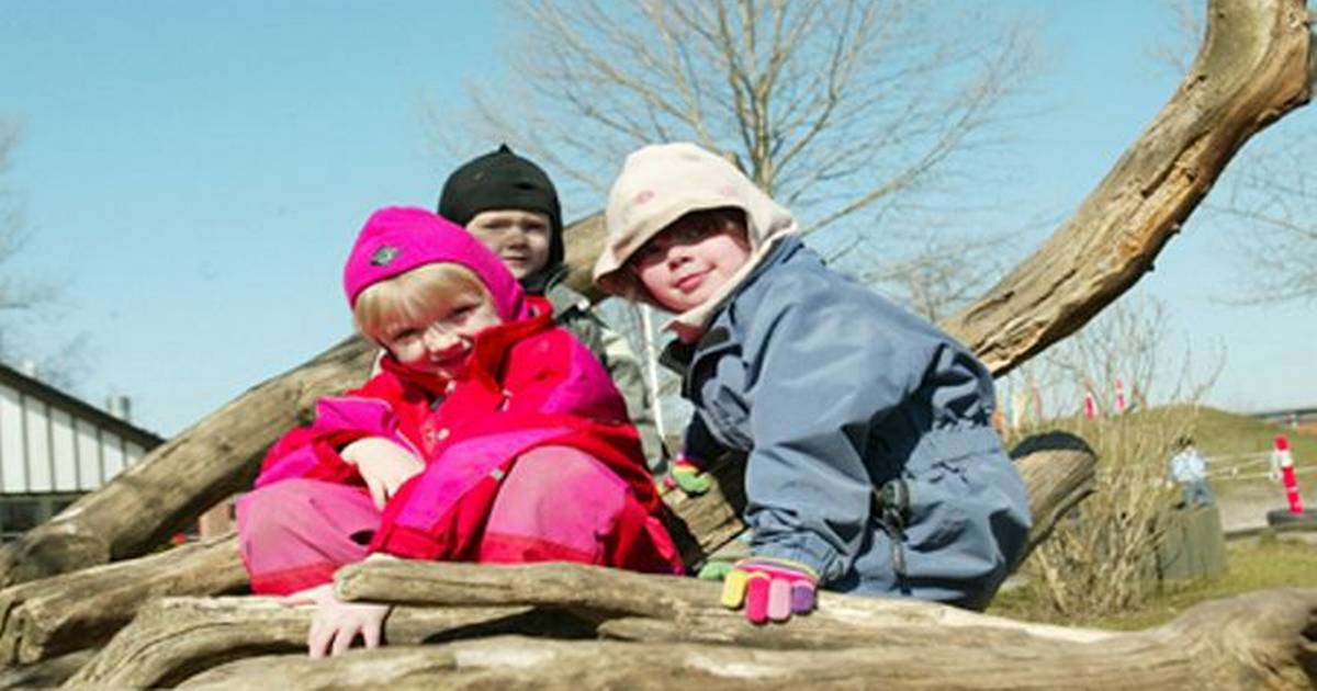 Ja tak til reklamer - Din Avis