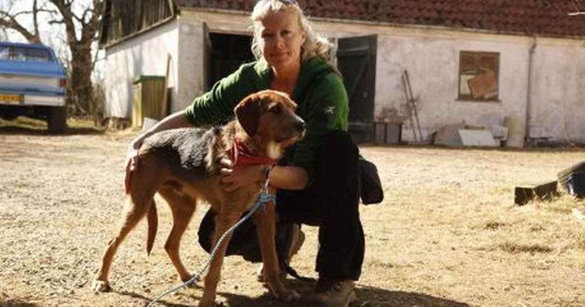 Anette Røpke træner Storm - Din Avis