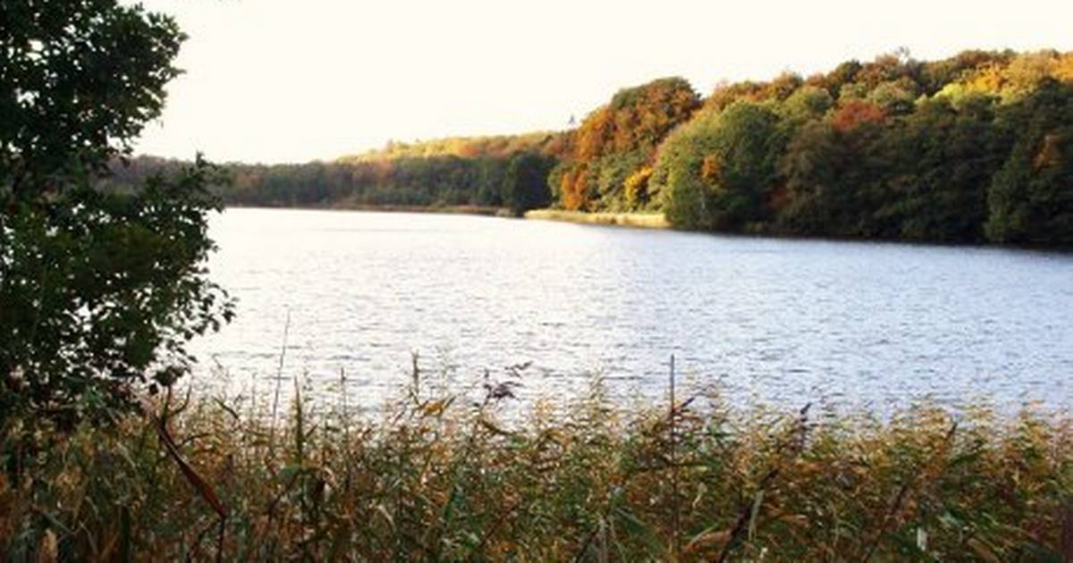 Spejderne arrangerer Ryom March for hele familien - Din Avis