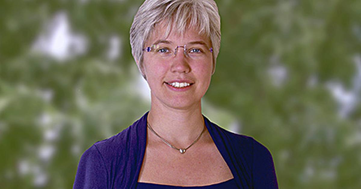 De Konservatives tre blev til to - Din Avis