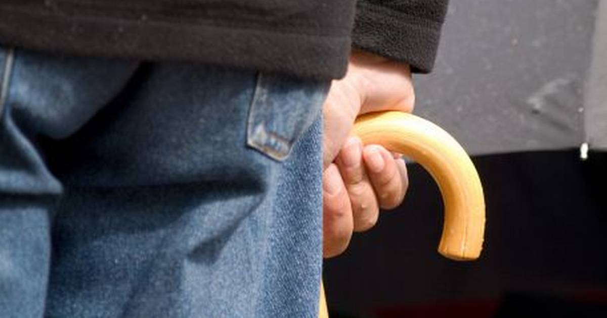 Fabrin modstander af mere kontrol med demente - Din Avis