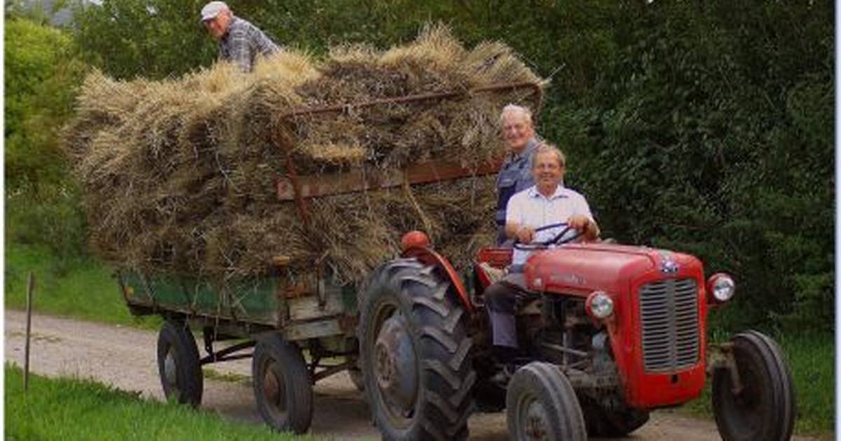 Frivillige søges til at levendegøre Morten Korch på Dansk ...