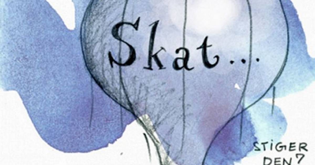 Bliv klogere på din skat - Din Avis