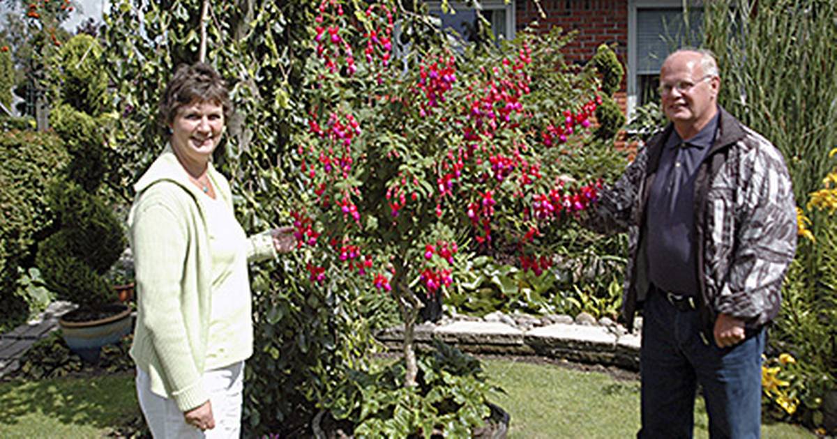 Åben Have i Hinnerup - Din Avis