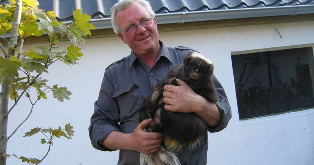 En zoo i øjenhøjde med børnene - Din Avis